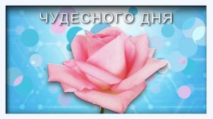 ✅ДОБРОЕ УТРО! ЧУДЕСНОГО ДНЯ!✅