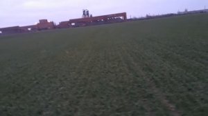 Краткий обзор озимой пшеницы.