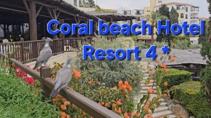Coral beach Hotel Resort 4 * Пафос - Кипр,полный обзор отеля 2025 #кипр