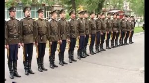 Форма 21 века  ВОЛК