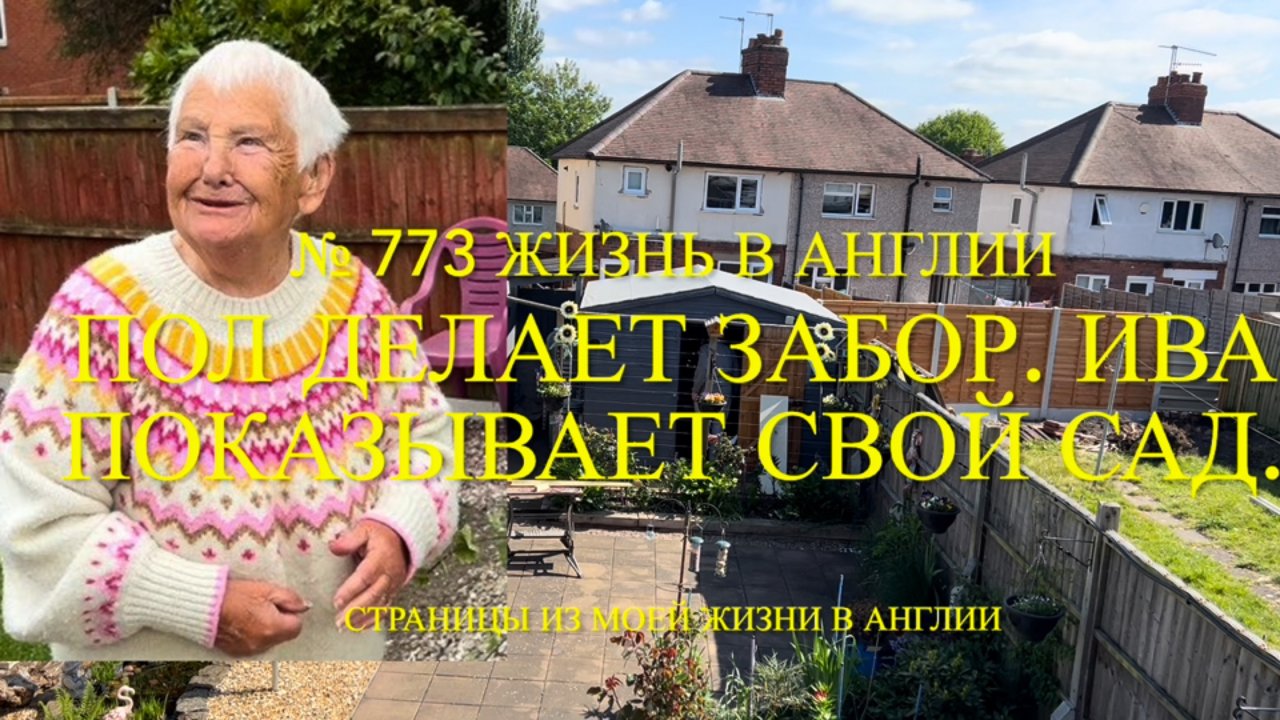 Пол делает забор. Ива показывает свой сад. Наши чихуахуа нас веселят. №  773 Жизнь в Англии