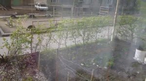 Середина Апреля Полянка с Одуванчиками 15 04 2015