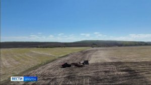 Завершить посевную планируют до конца мая. Заготовители зерновых и зернобобовых культур в Иркутском