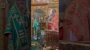 Поздравление с днём тезоименитства наместнику Оптиной пустыни.