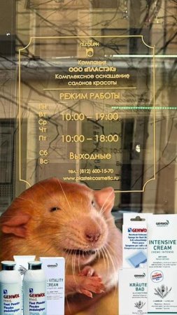 Заходите порадоваться в «Пластэк»😁😏