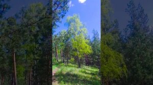 💖Скажи спасибо Богу #мудрость #мотивация #природа