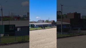 Маша и Наоми, проезд схемы обязательная программа №2 (ОСФ) тест Б, лично-командное первенство ПФО.