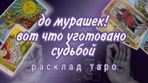 ❗ТЫ НЕ ПОВЕРИШЬ❗КАКОЕ СЧАСТЬЕ ТЕБЯ ЖДЕТ❗Онлайн расклад #картытаро