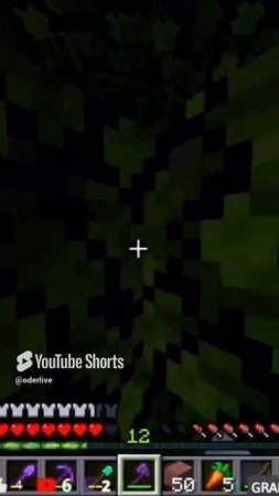 Minecraft Лучшее #929