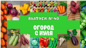 40. Подкормка чеснока и лука