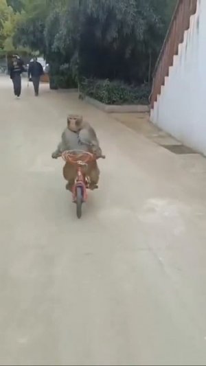 угонщик