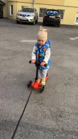 Ant Mini