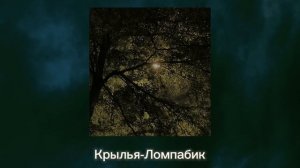 Крылья-Ломпабик (speed up)