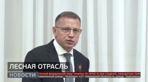 Лесная отрасль: состояние и перспективы