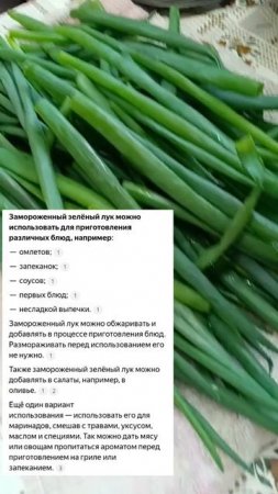 Замораживаю зеленый лук впрок когда лишний