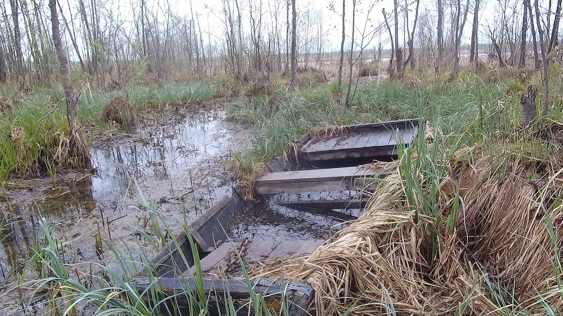 Да сколько же в этом болоте рыбы!!! Ловля кранопёрки, наноджиг, мормышинг.