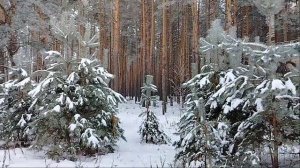 Погоняй Золотых Лошадей