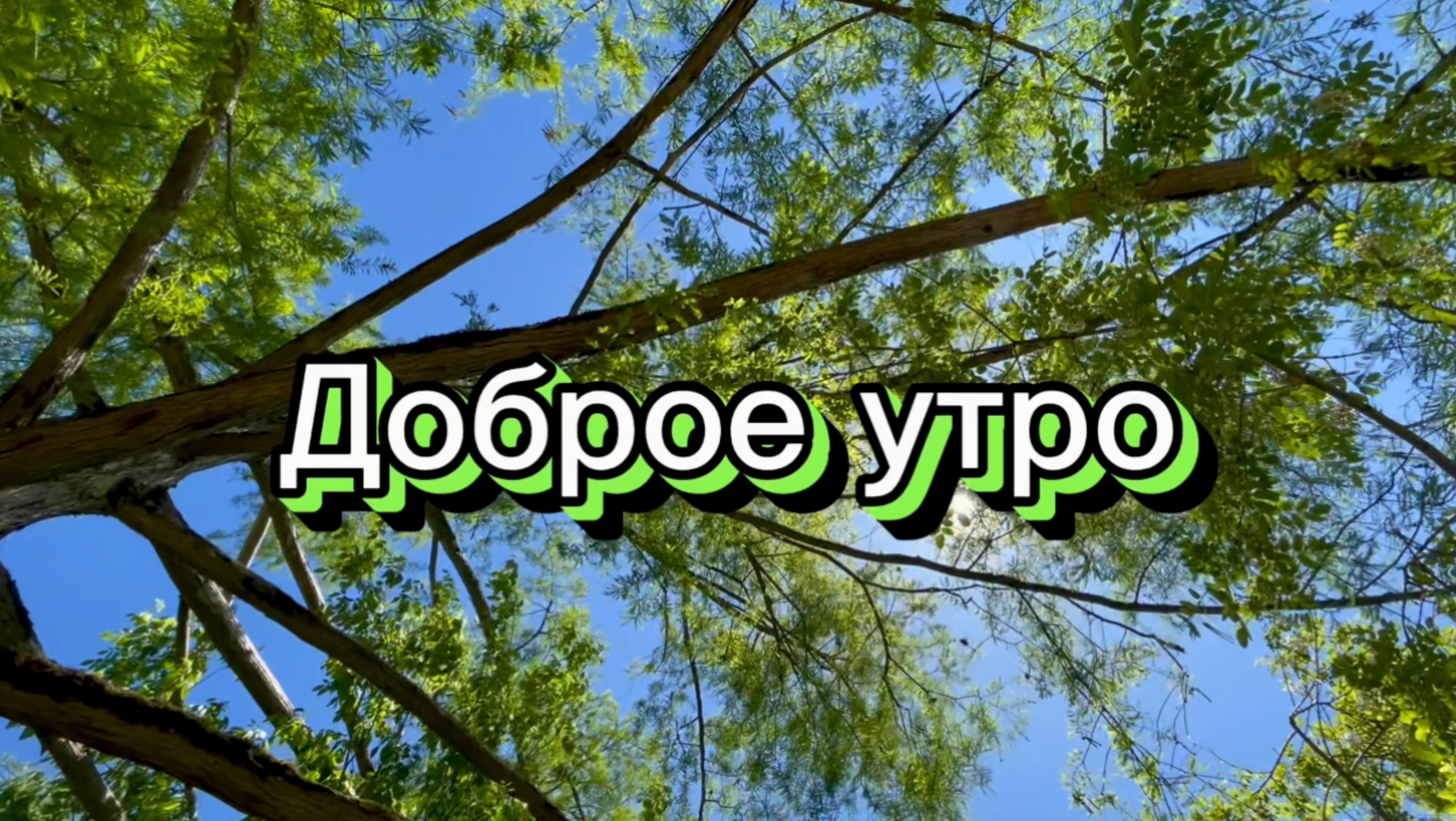 Доброе утро. Подари нам, Господи, добрый день