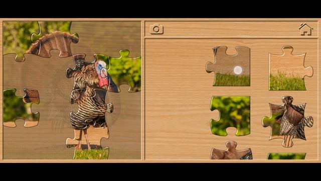 Развивающий мультфильм для детей  "Пазлы"  ( познавательный мультик для малышей).