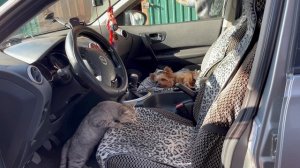 И опять не прокатили. Но теперь не скучно-Тема не один