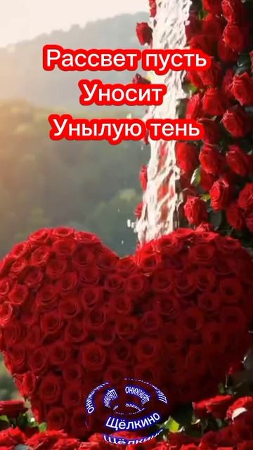 Волшебного дня всем. Доброе утро. Видеооткрытка