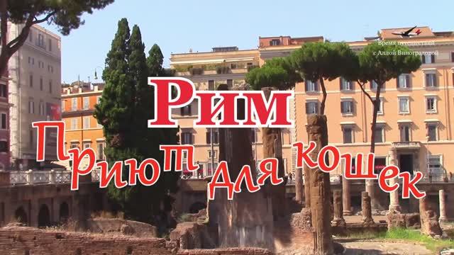 КОШКИ в развалинах античного храма / Рим