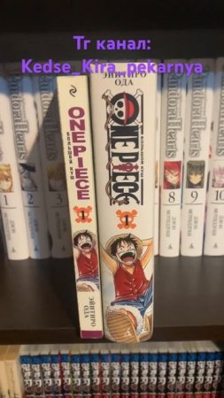 Ван Пис первый том обзор #манганаяпонском #манга #аниме #ванпис #onepiece #manga #anime #луффи #нам