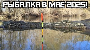 ЗАТОПЛЕННЫЙ РУЧЕЙ ВЫДАЁТ КРУПНОЕ?! Закинул поплавок и КЛЮЁТ! Рыбалка 202
