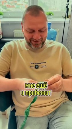 Сама виновата