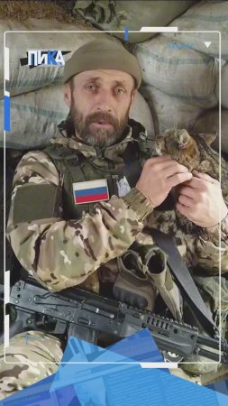 Герой с позывным "Бодрый" и его КОТ "Васька" удивят вас!