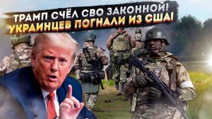 Законность СВО не вызывает вопросов у Трампа! Укробеженцев решили выгнать из Америки!