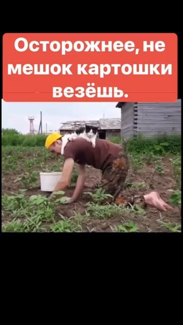 Всеми силами помогает