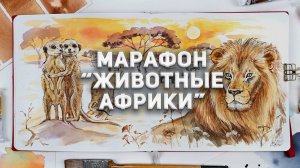 Рисуем акварелью животных Африки - новый марафон! Лев, зебра, сурикаты, бегемот,