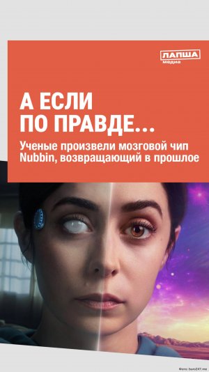 ЧИП ПОЗВОЛЯЕТ ВЕРНУТЬСЯ В ПРОШЛОЕ? | Разбор теории #мифы