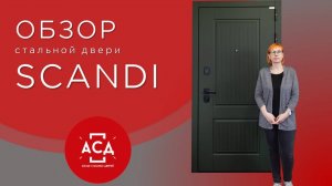 Стальная дверь SCANDI - новинка сезона! Показываем и рассказываем