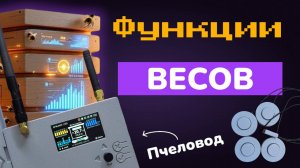 Полный обзор пасечных весов «Пчеловод»: все функции за 1 час!