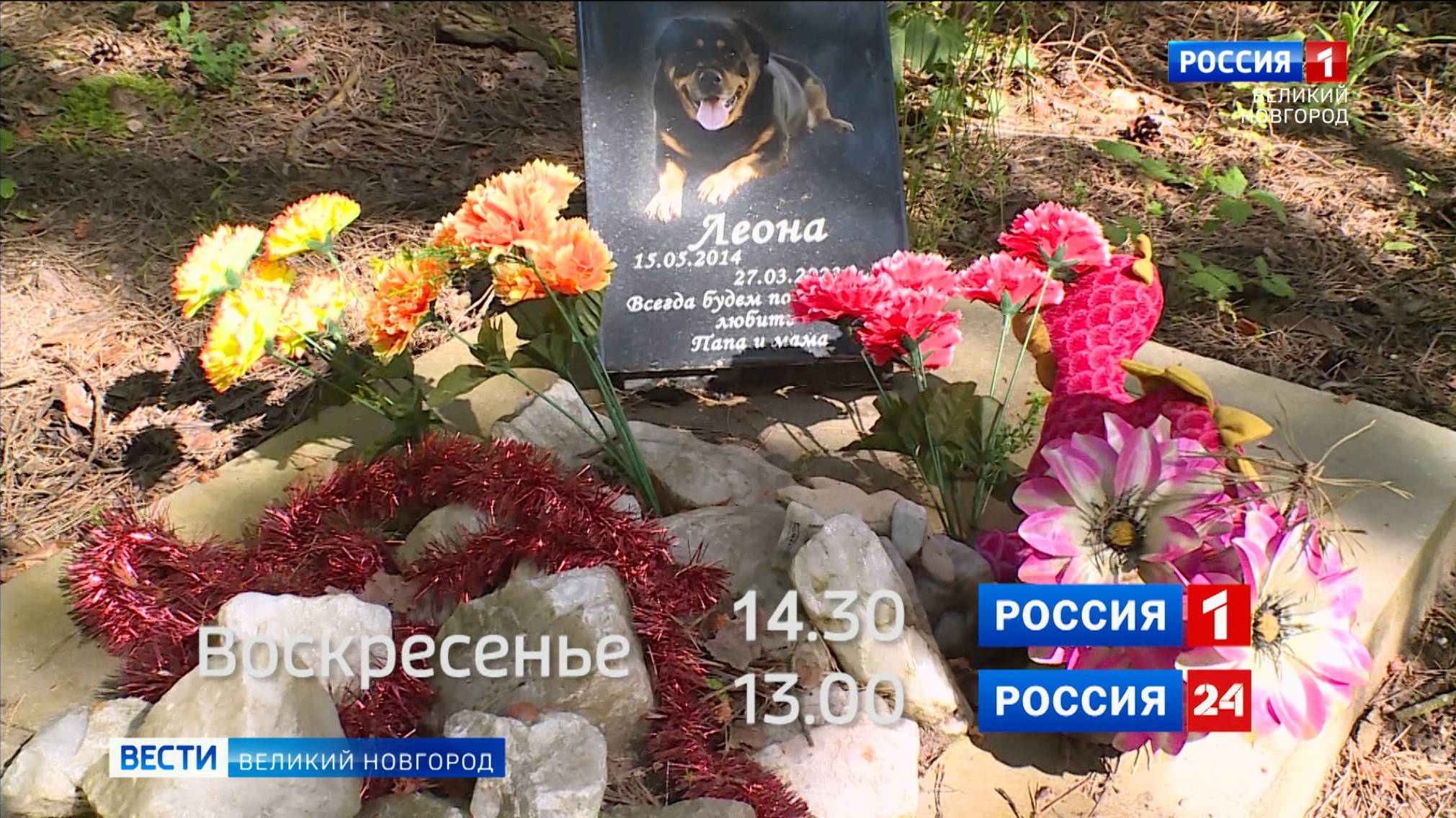 ГТРК СЛАВИЯ Анонс Вести за неделю 23.05.25