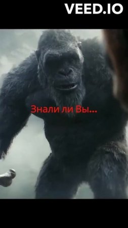 Ты этого точно не знал!!! Годзила против Конг: Новая империя