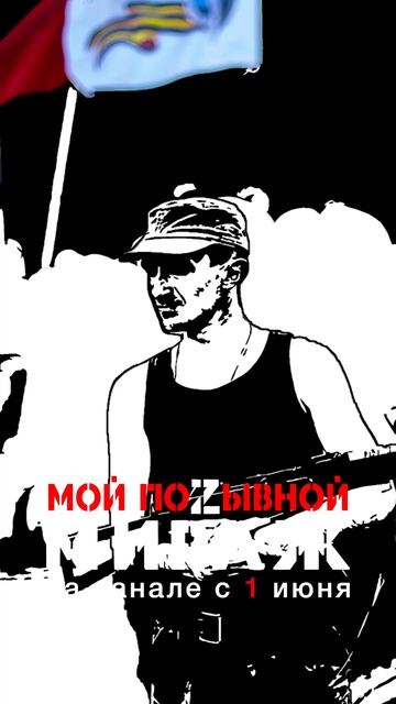 ОПОЛЧЕНИЕ МОЙ ПОZЫВНОЙ МИРАЖ SHORTS