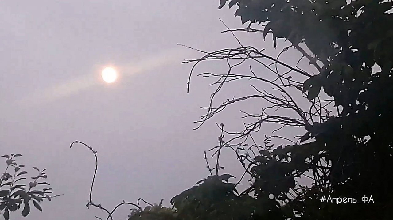 Луна и трели соловья