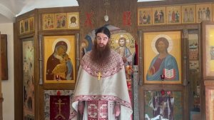 Проповедь свящ. Сергия Чуракова в день памяти Ап. Симона Зилота 23 мая 2025 г.