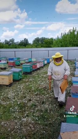 🐝🌺🌞♥️♥️🌞🌺🐝🌺🐝🐝♥️🌞🌺