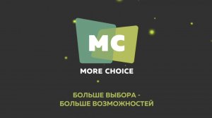 Презентация компании More Choice,  производителя аксессуаров для мобильных телефонов