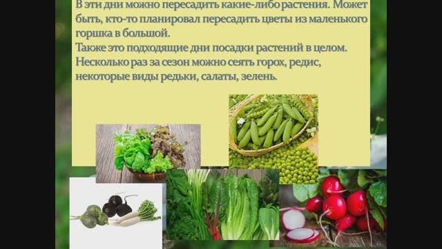 Благоприятные дня для посадки растений июнь 2025 года