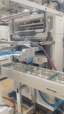 Термоформовочная машина RRTFM 6535-3S от RRPlast Индия с робото-укладчиком  для ПЭТ лотков
