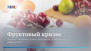 Эксперт объяснила, что дальше будет с ценами на картофель