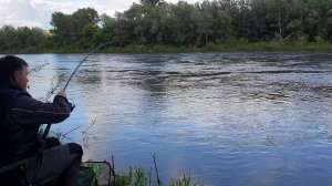 РЫБАЛКА НА КУРИНУЮ ПЕЧЕНЬ! ДОНКА НА СТРУЕ – РЫБКА В САДКЕ