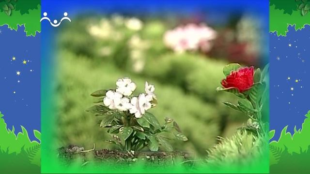 Вечер в Шишкином Лесу. Сказка. Картофельный кустик
