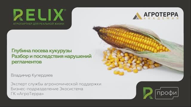 RELIX глубина посева кукурузы