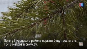 На Ямале объявили штормовое предупреждение в день последних звонков